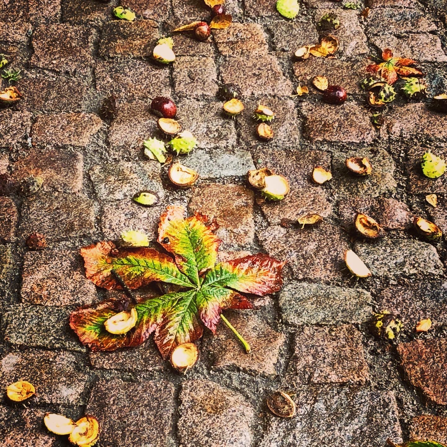 Hautstörungen: Wenn man aus etwas raus will und nicht kann – Innerer ...